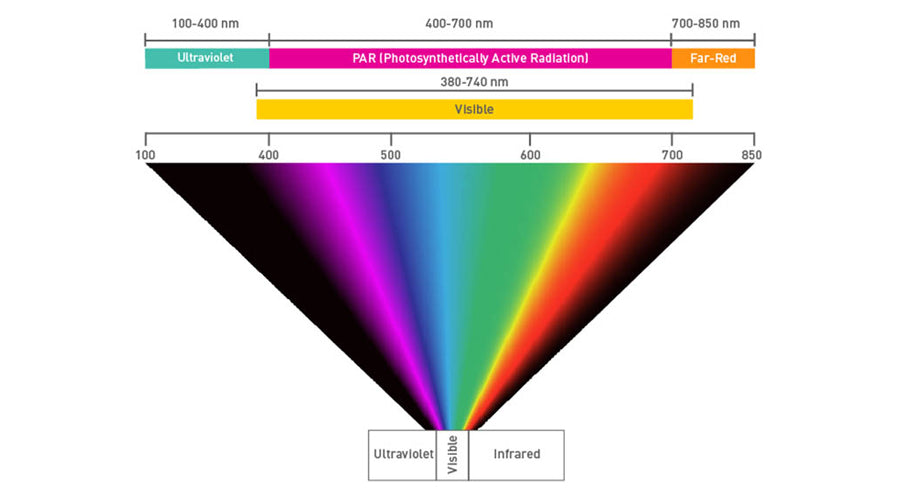 What is Spectrum – SAYHON