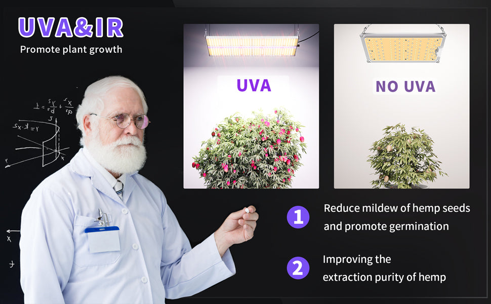 How Does UVA Help Your Medical marijuana – SAYHON